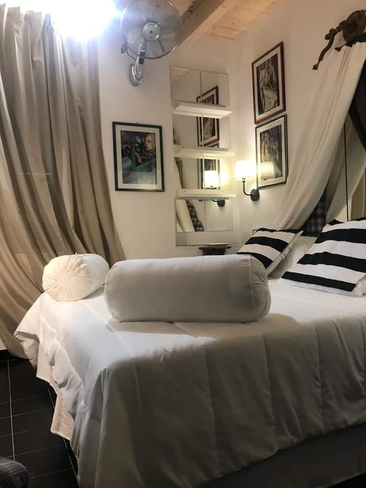 Sanctus Syrus 2, Stanza Cazzulini - Albenga