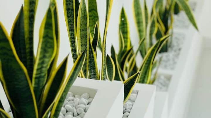 B&b Di Carmine, Stanza Alla Francese - Mercato San Severino