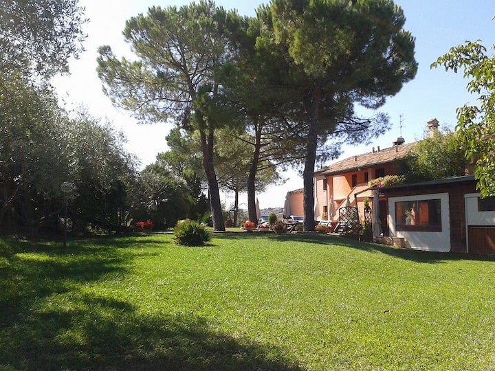 Agriturismo Casale Il Gallo Bianco, Stanza Con Un. - Osimo