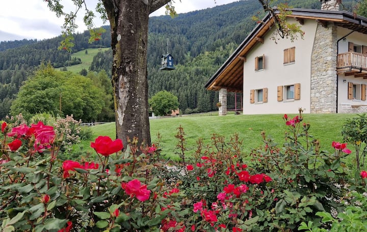 La Paganina Con Colazione, Stanza Familiare - Borno