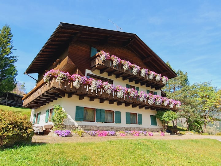 Garni Aiding, Razuns - San Cassiano