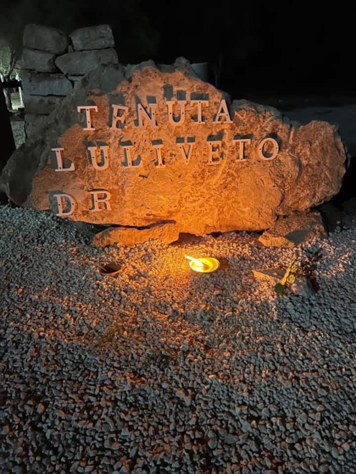 Tenuta L'uliveto, Uliveto 1 - Campomarino