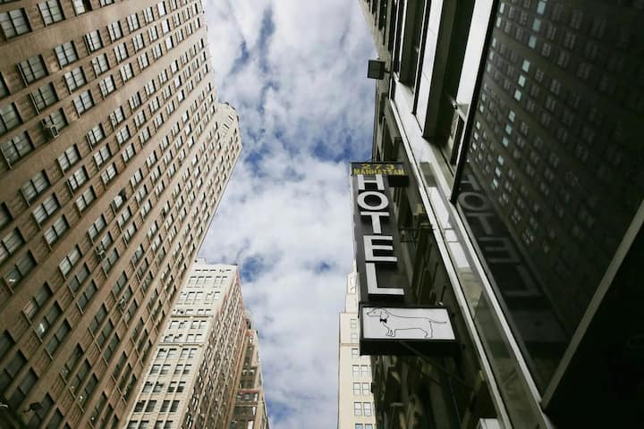 Doxie Hotel - Queens, NY