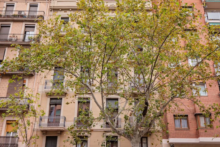 Sweet | Urgell Eixample, Apartment With Bed D... - Barcelona
