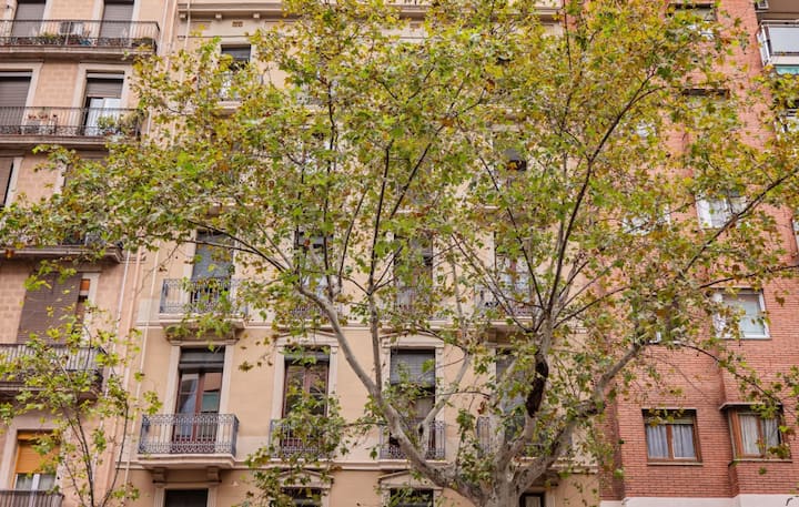 Sweett | Eixample, Sweett | Eixample 2d - Barcelona