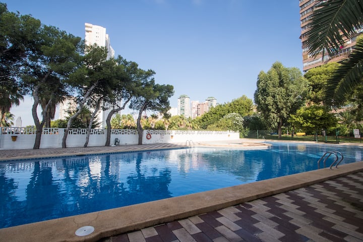 Provima A 20º - Wohnung - Benidorm
