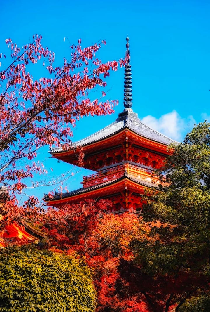 清水紫翠庵 清水寺三年坂すぐ八坂神社祇園高台寺徒歩圏・マッサージチェア床暖房洗濯乾燥機完備 - Gion