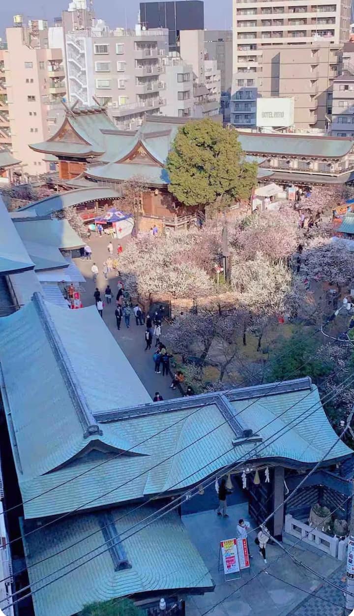 上野駅、上野公園、天満宮神社、東京大学、アメ横、秋葉原周辺、成田空港から京成上野駅41分！交通便利！ - Tokyo