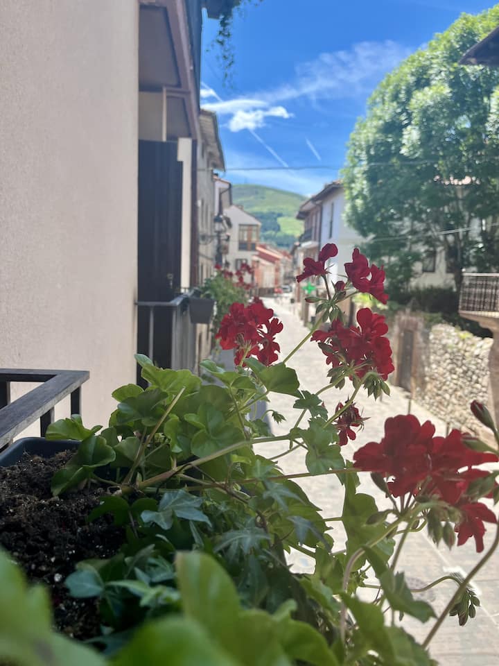 Estudios-apartamentos Ubaga - Ezcaray