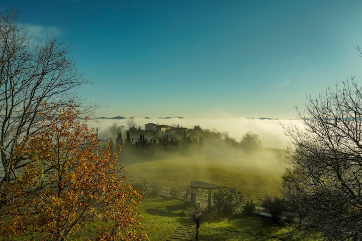 Petricore - Cesena