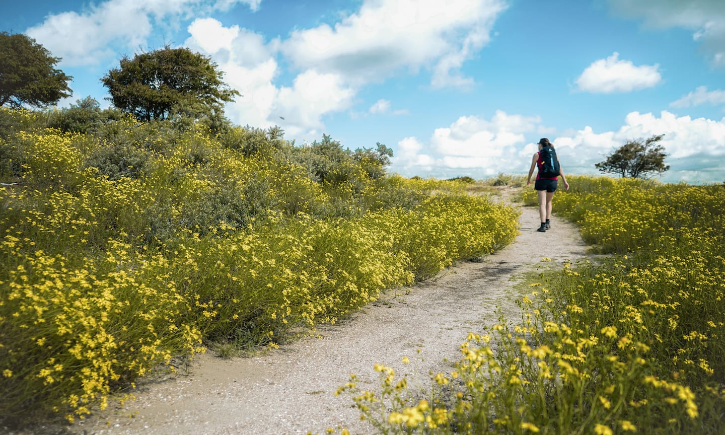 Alojamentos perto de Aqua Mundo em Zeewolde - Zeewolde, Holanda | Airbnb