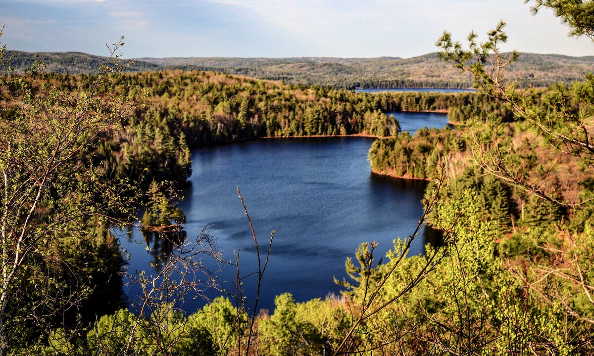 Places to stay near Haliburton Sculpture Forest in Haliburton ...