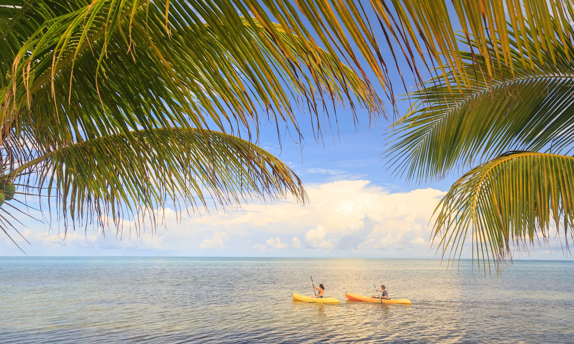 Belize Zoo and Tropical Education Center, La Democracia, Belize ...