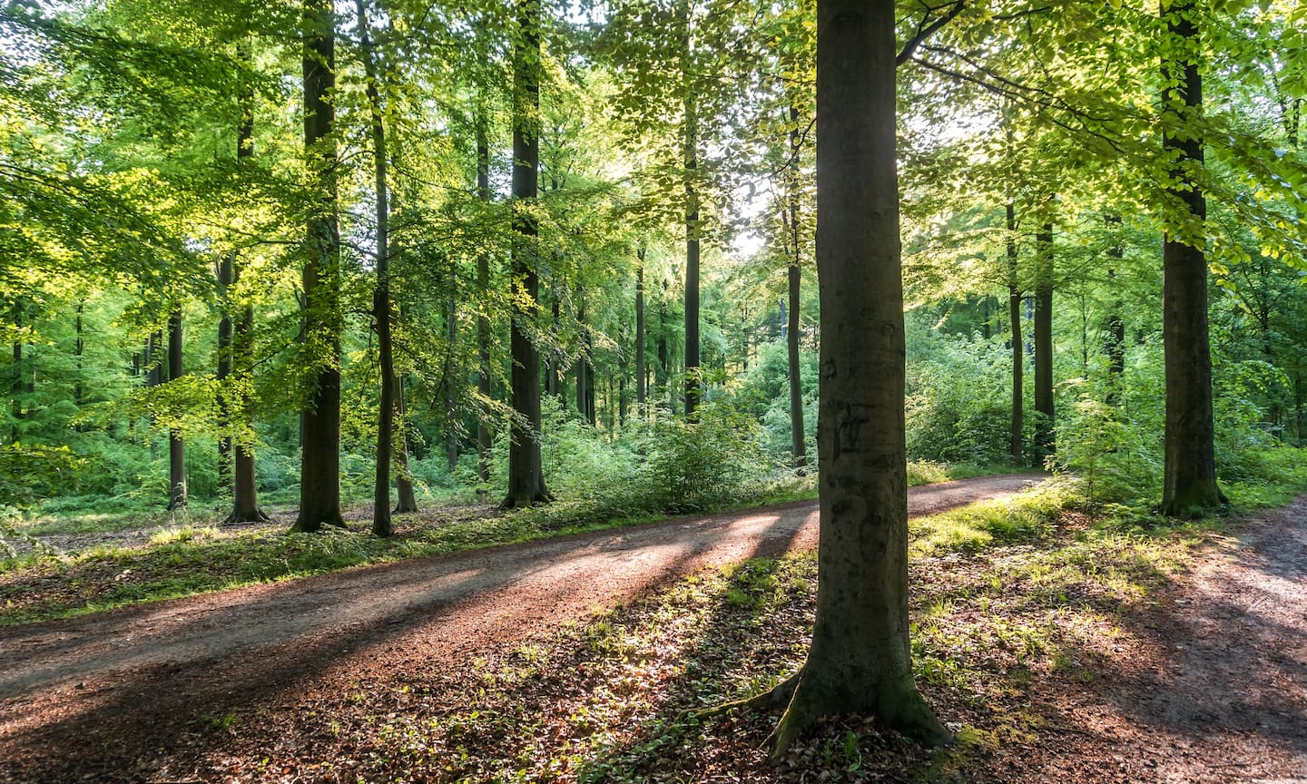 Cassiopeia Therme Badenweiler : hébergements à proximité pour votre ...