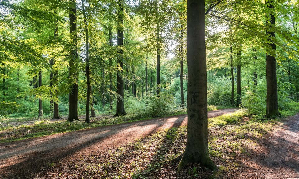 Lahr/Schwarzwald, Germany Vacation Rentals - Airbnb