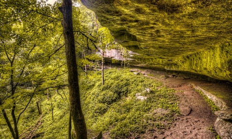 Unterkünfte in der Nähe von Barren River Lake State Resort Park in ...