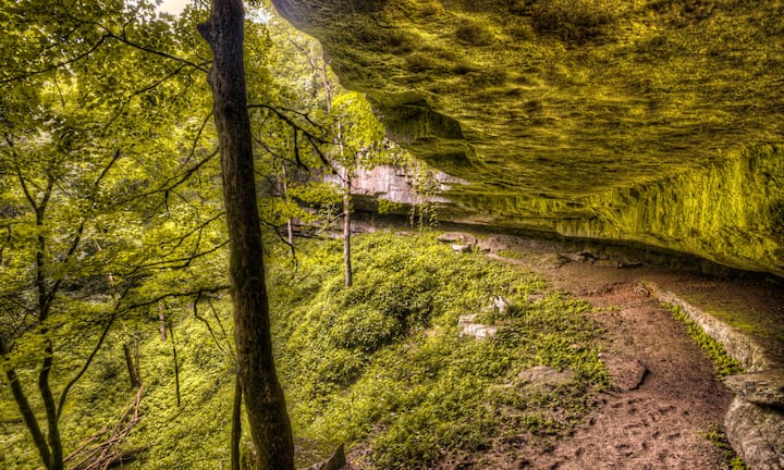 Unterkünfte in der Nähe von Barren River Lake State Resort Park in ...