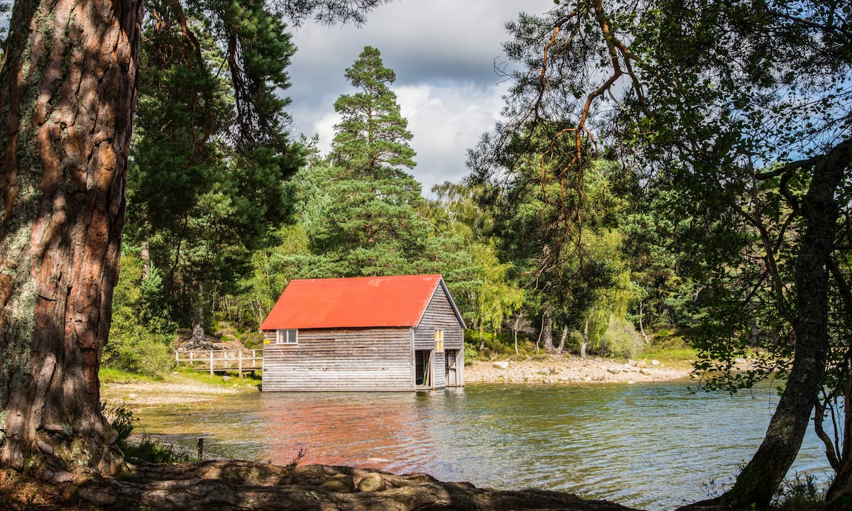 Lugares para ficar perto de Highland Wildlife Park em Kincraig ...