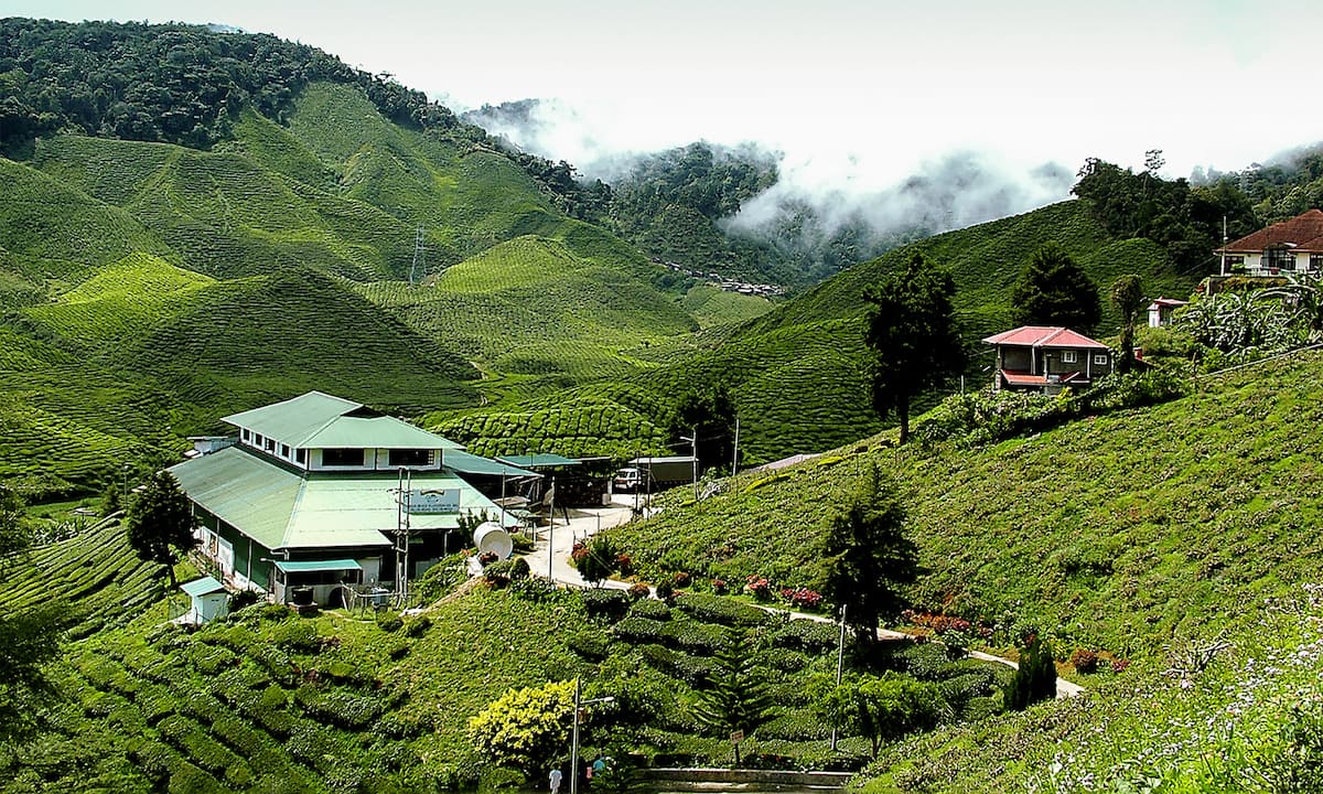 Lugares para quedarse cerca de Sungai Palas Boh Tea Centre en Brinchang ...
