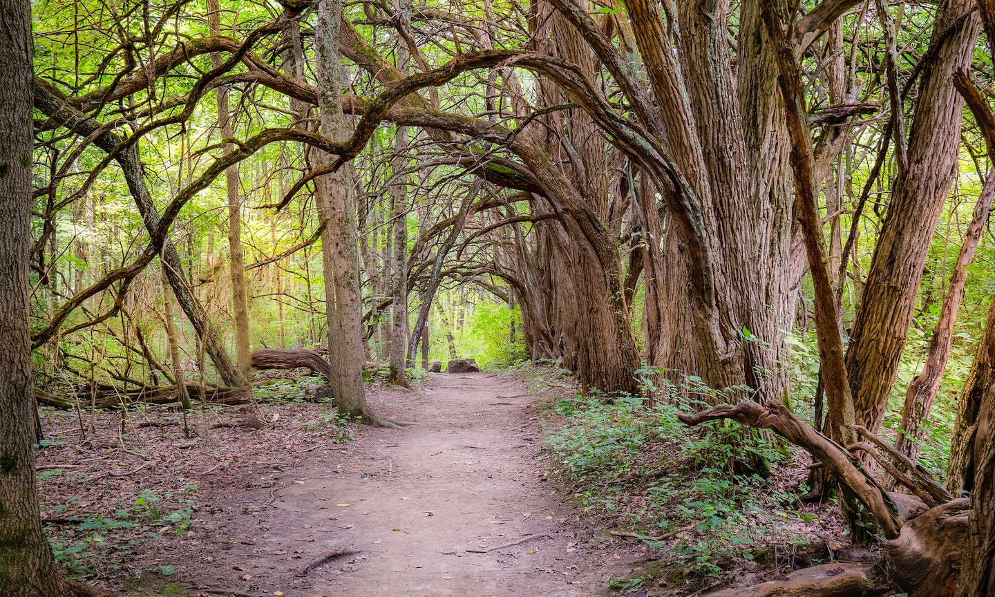 Unterkünfte in der Nähe von Clay s Resort Jellystone Park in North ...