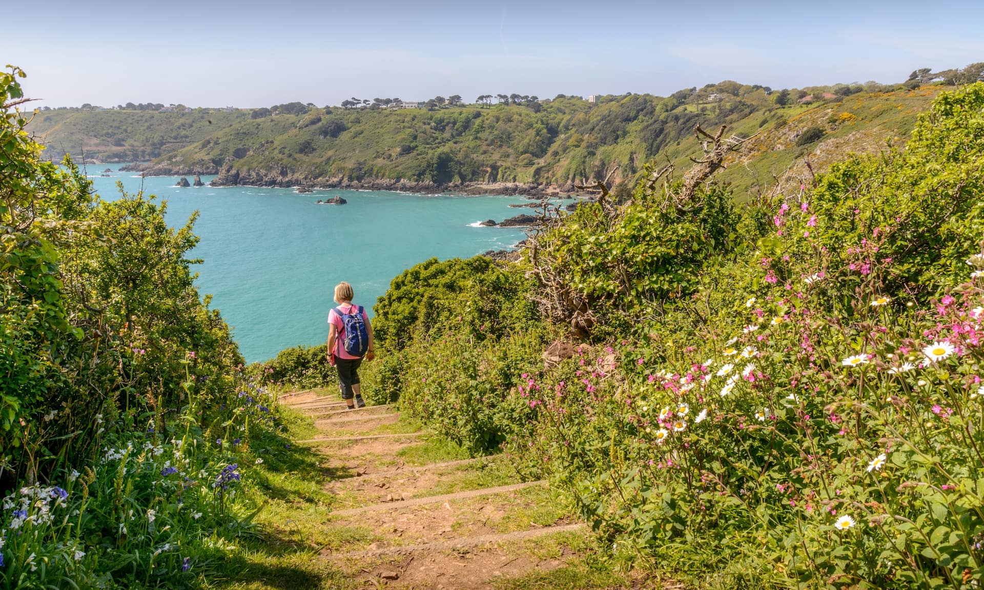 Unterkünfte in der Nähe von Jersey Zoo in Jersey - Jersey, Jersey | Airbnb