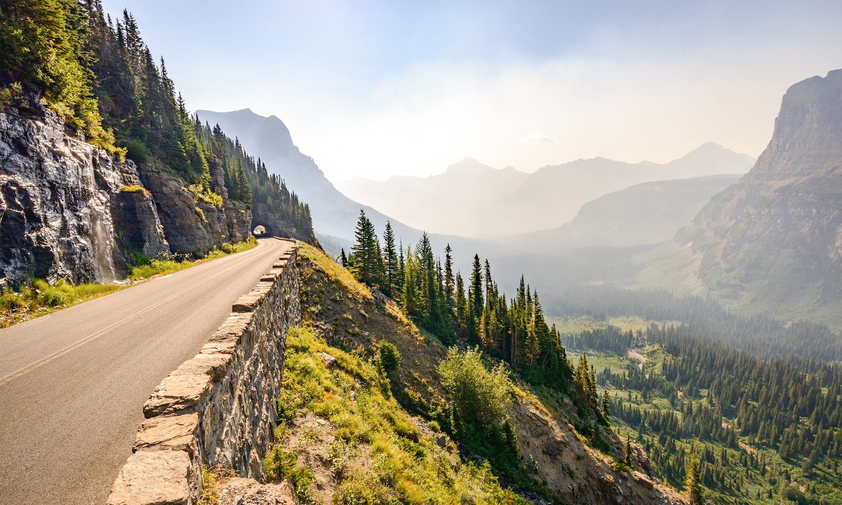 Northern Lights Wildlife, Golden : logements dans le coin | Airbnb ...