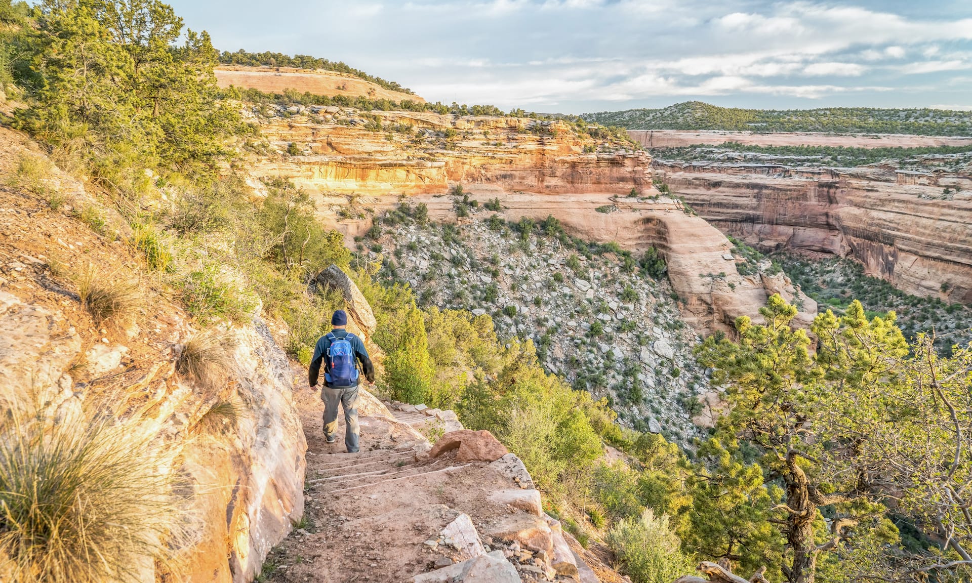 Ubytování v okolí místa Meadery of the Rockies v lokalitě Palisade ...
