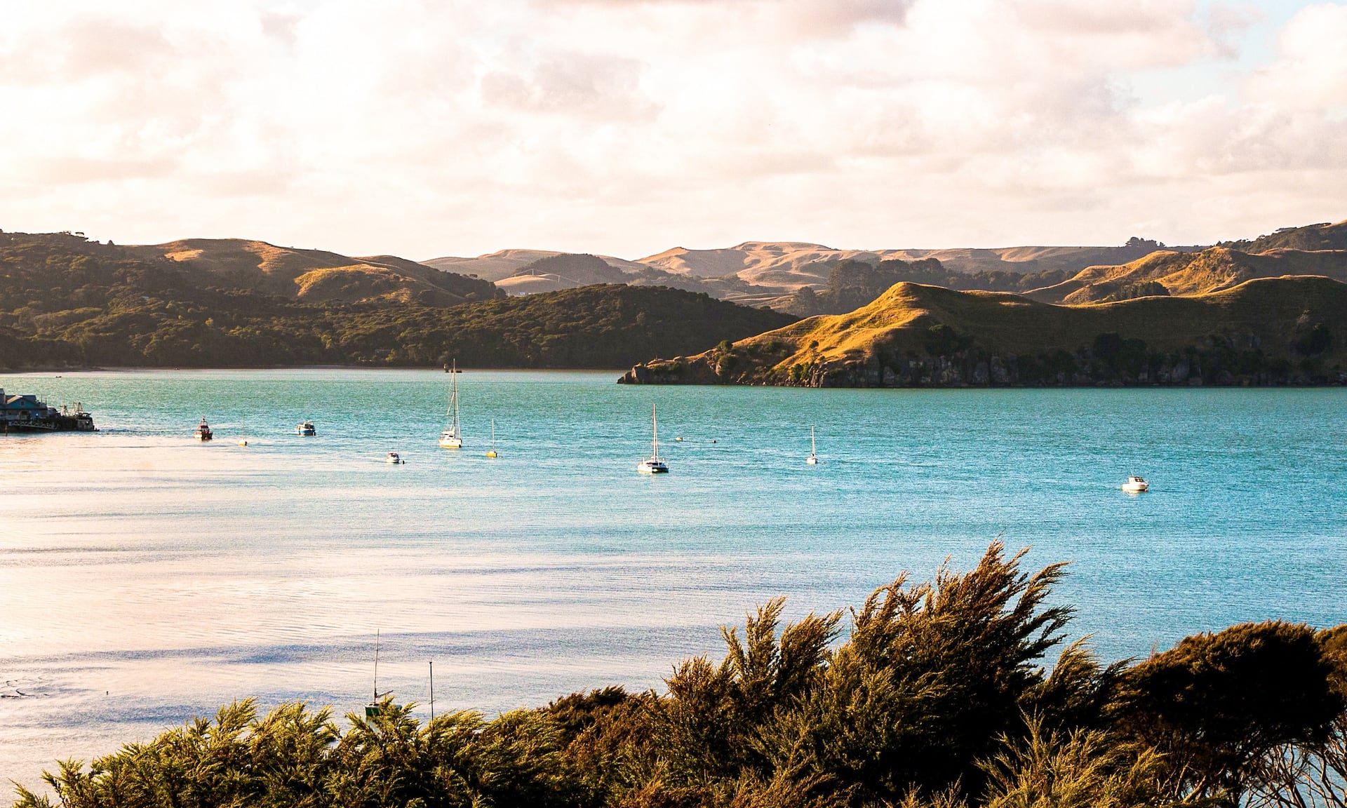 Hamilton Holiday Rentals & Homes - Waikato Region, New Zealand | Airbnb