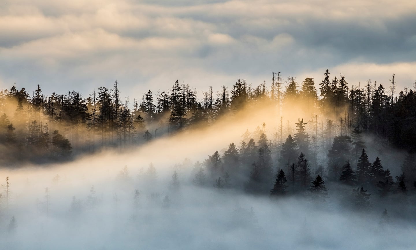 Places To stay near Brocken in Wernigerode - Wernigerode, Germany | Airbnb