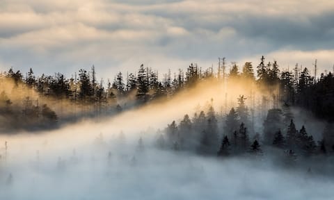 Unterkünfte in der Nähe von Wernigerode Schloss in Wernigerode ...