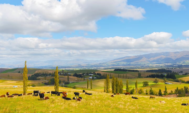 Fairlie, New Zealand Vacation Rentals - Airbnb