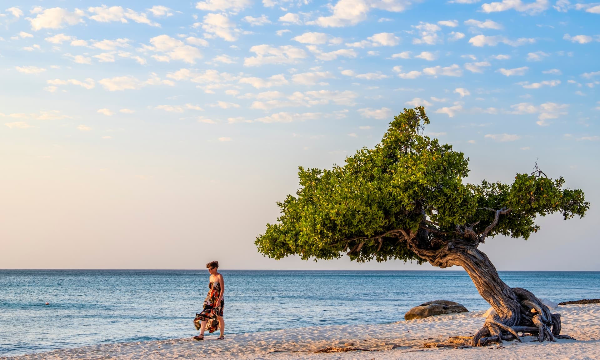 Aruba Vacation Rentals - Airbnb