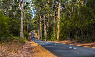Manjimup, Australia Vacation Rentals - Airbnb