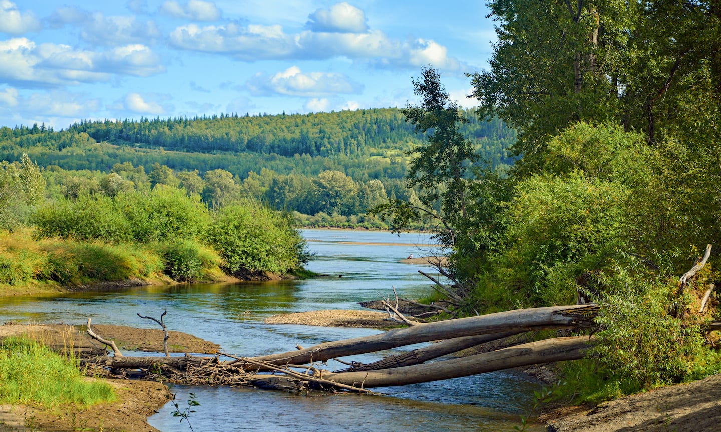 Prince George Private suite holiday rentals - British Columbia, Canada ...