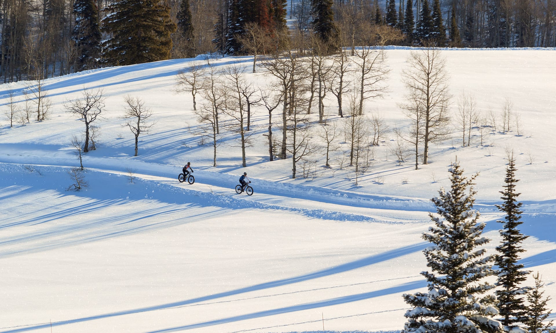 Idaho Shipping Container Vacation Rentals - United States | Airbnb