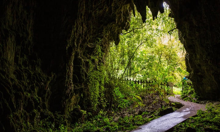 Waitomo Caves, New Zealand Vacation Rentals (5 out of 5) - Airbnb