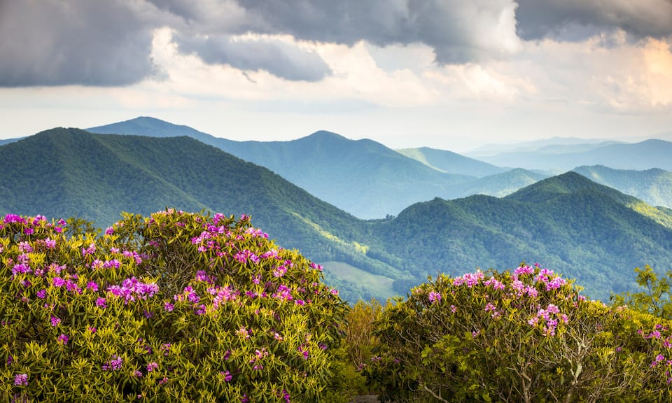 Highlands Chalet Vacation Rentals | Airbnb
