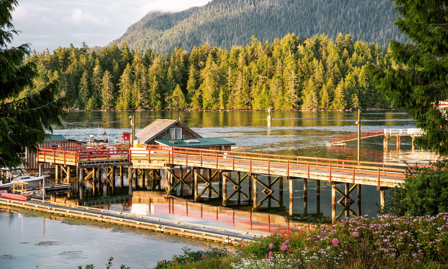 Tofino Beachfront Vacation Rentals - British Columbia, Canada | Airbnb