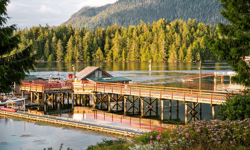 Tofino Waterfront Vacation Rentals | Airbnb