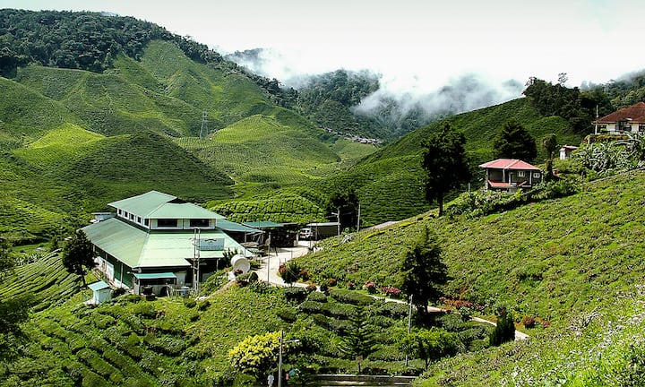 Cameron Highlands, Malaysia Vacation Rentals - Airbnb