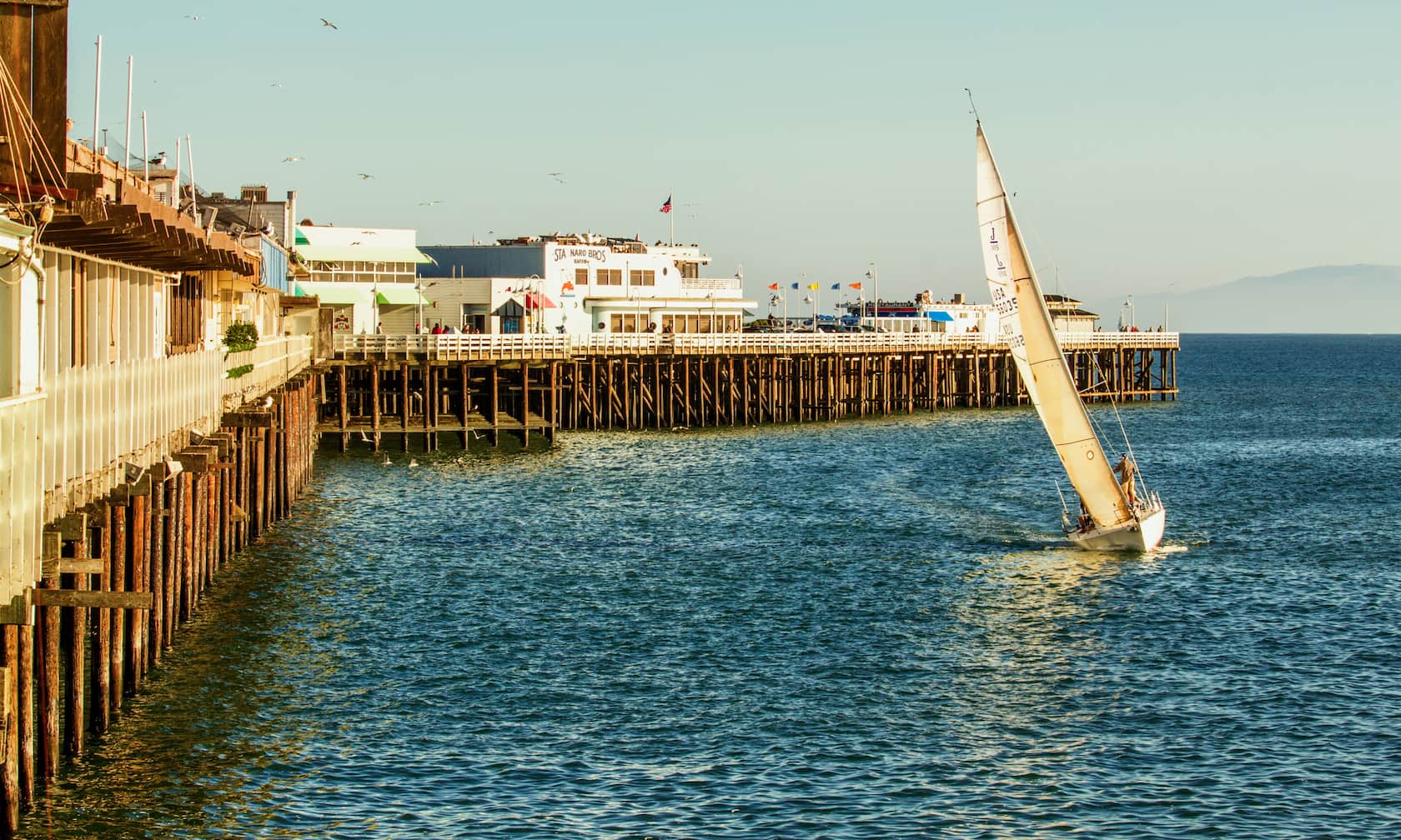 Santa Cruz, CA Vacation Rentals (4.8 out of 5) - Airbnb