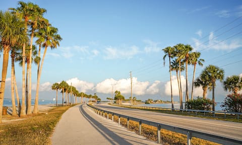 Dunedin, FL Vacation Rentals (5 out of 5) - Airbnb