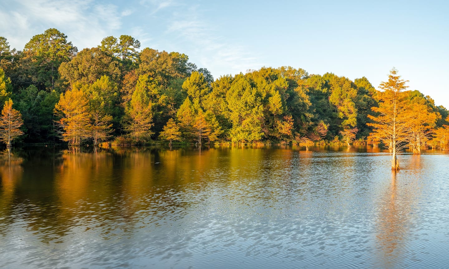 Broken Bow, OK Vacation Rentals (5 out of 5) - Airbnb