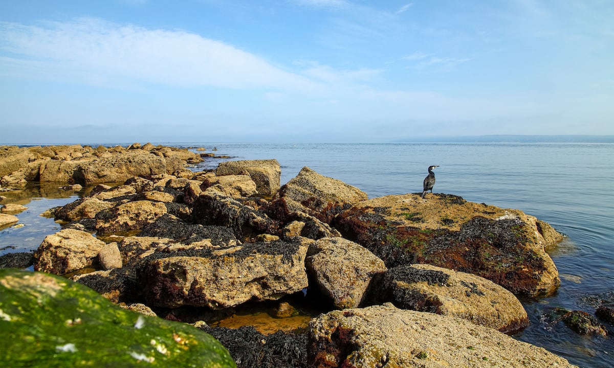 Filey, United Kingdom Vacation Rentals - Airbnb