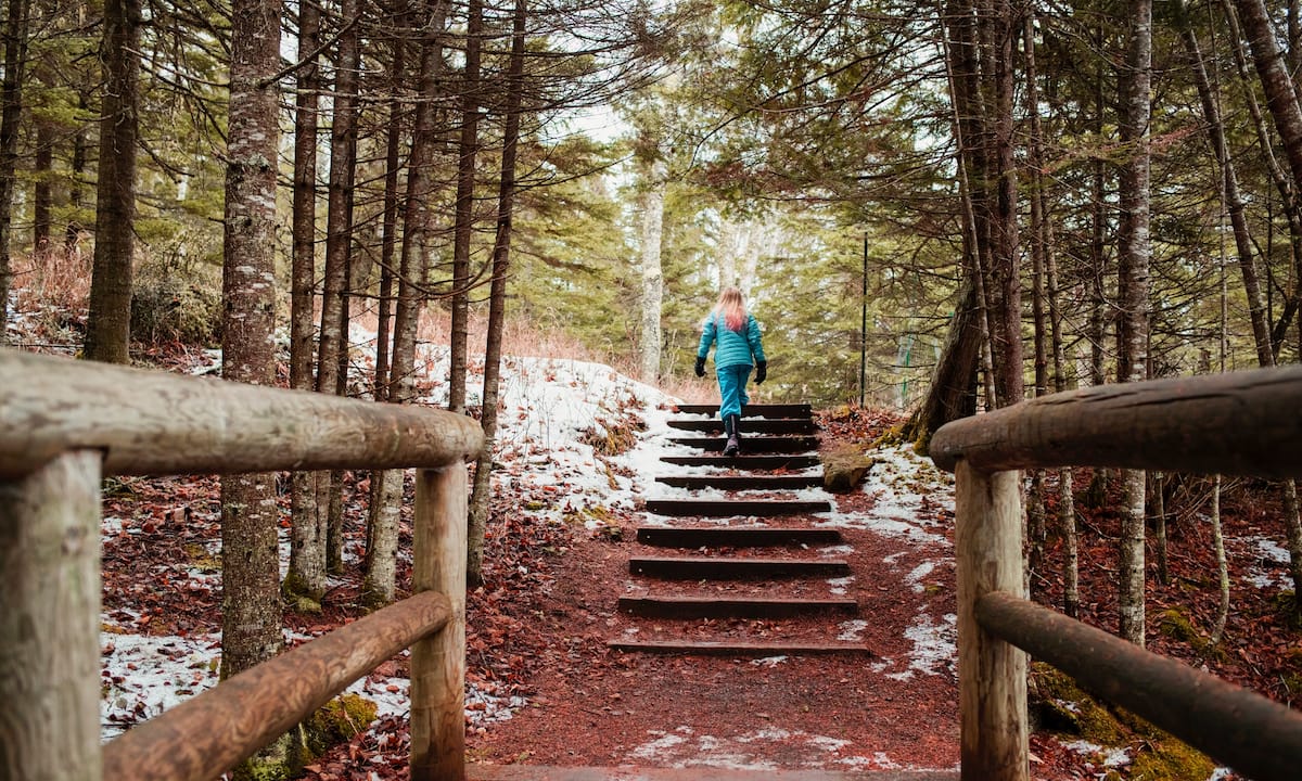 Minnesota Treehouse Vacation Rentals | Airbnb