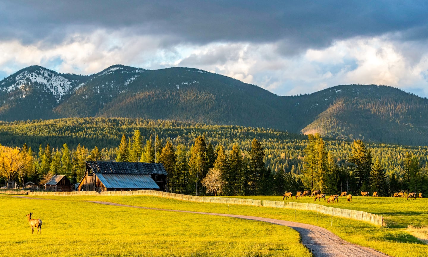 Whitefish Lake House Vacation Rentals | Airbnb