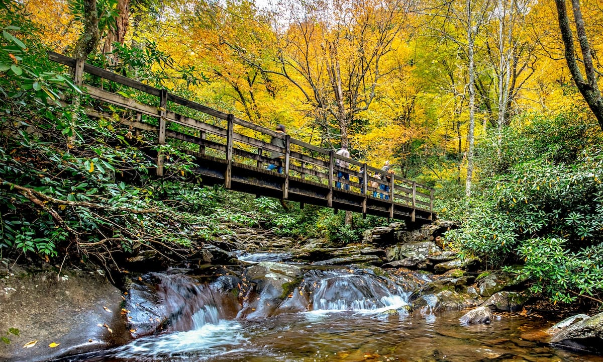 Pigeon Forge, TN Vacation Rentals (5 out of 5) - Airbnb