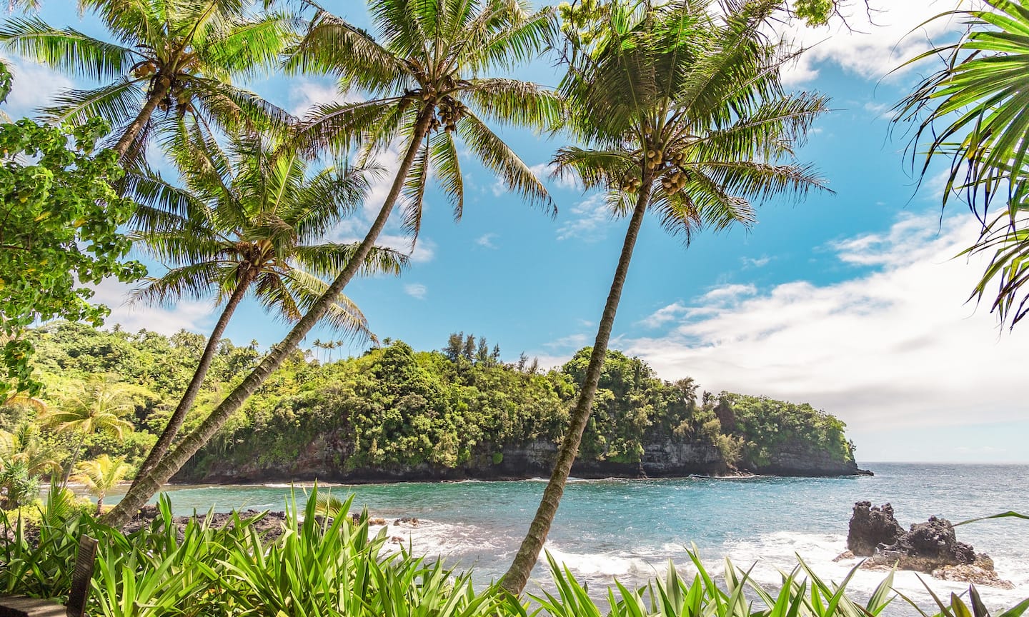 Hilo, HI Vacation Rentals - Airbnb