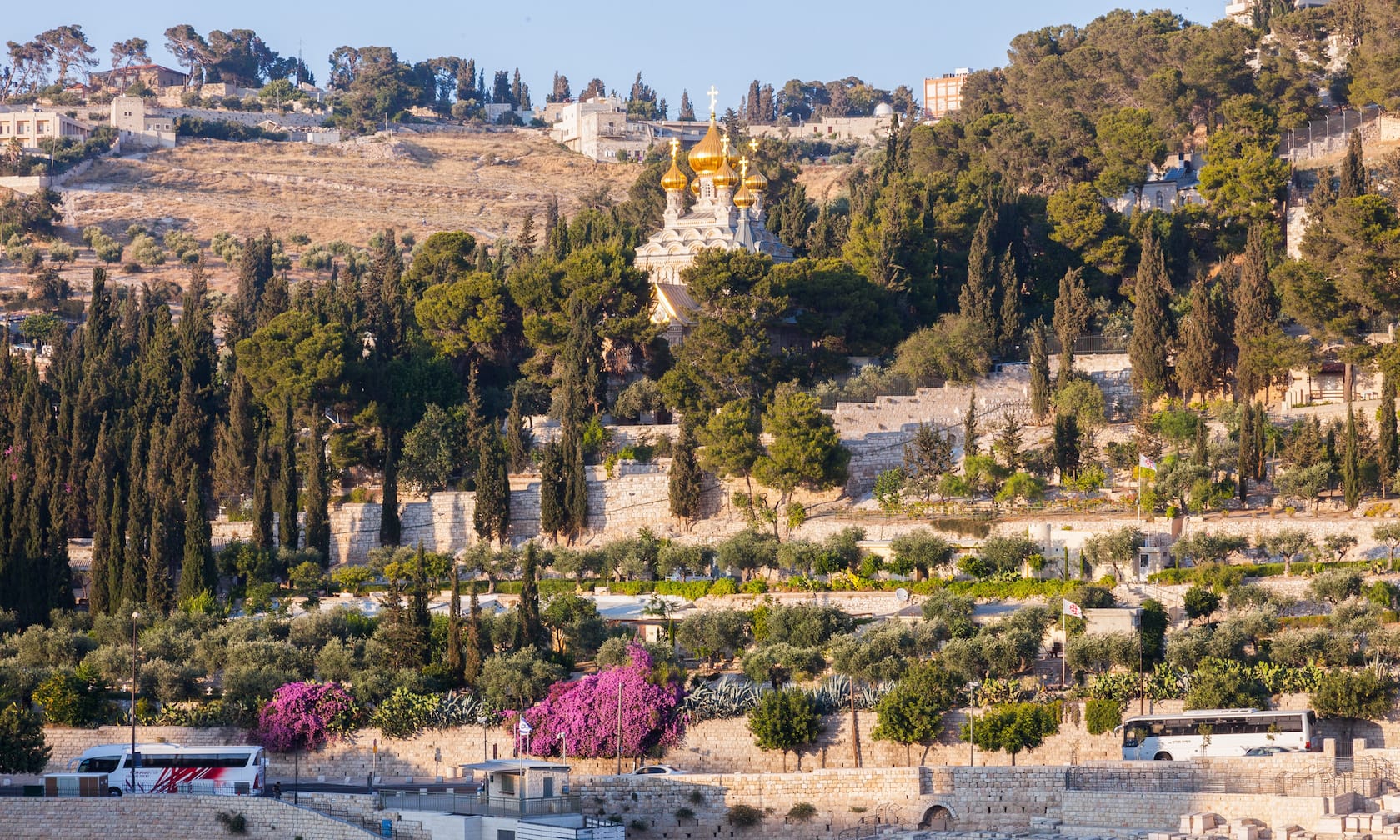 Beit Zayit : locations de vacances adaptées aux animaux - Jerusalem ...
