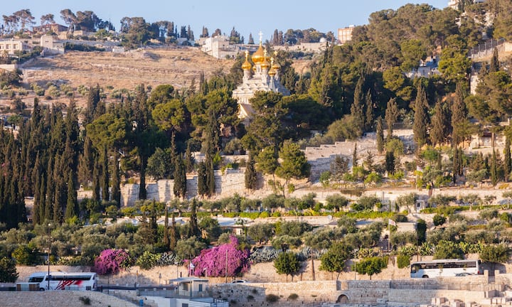 Ma'in Hot Springs, Ma'in, Jordan Vacation Rentals - Airbnb